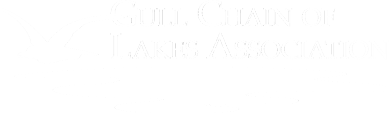 ‘Loon lady’ turns passion into action to protect Minnesota’s iconic ...